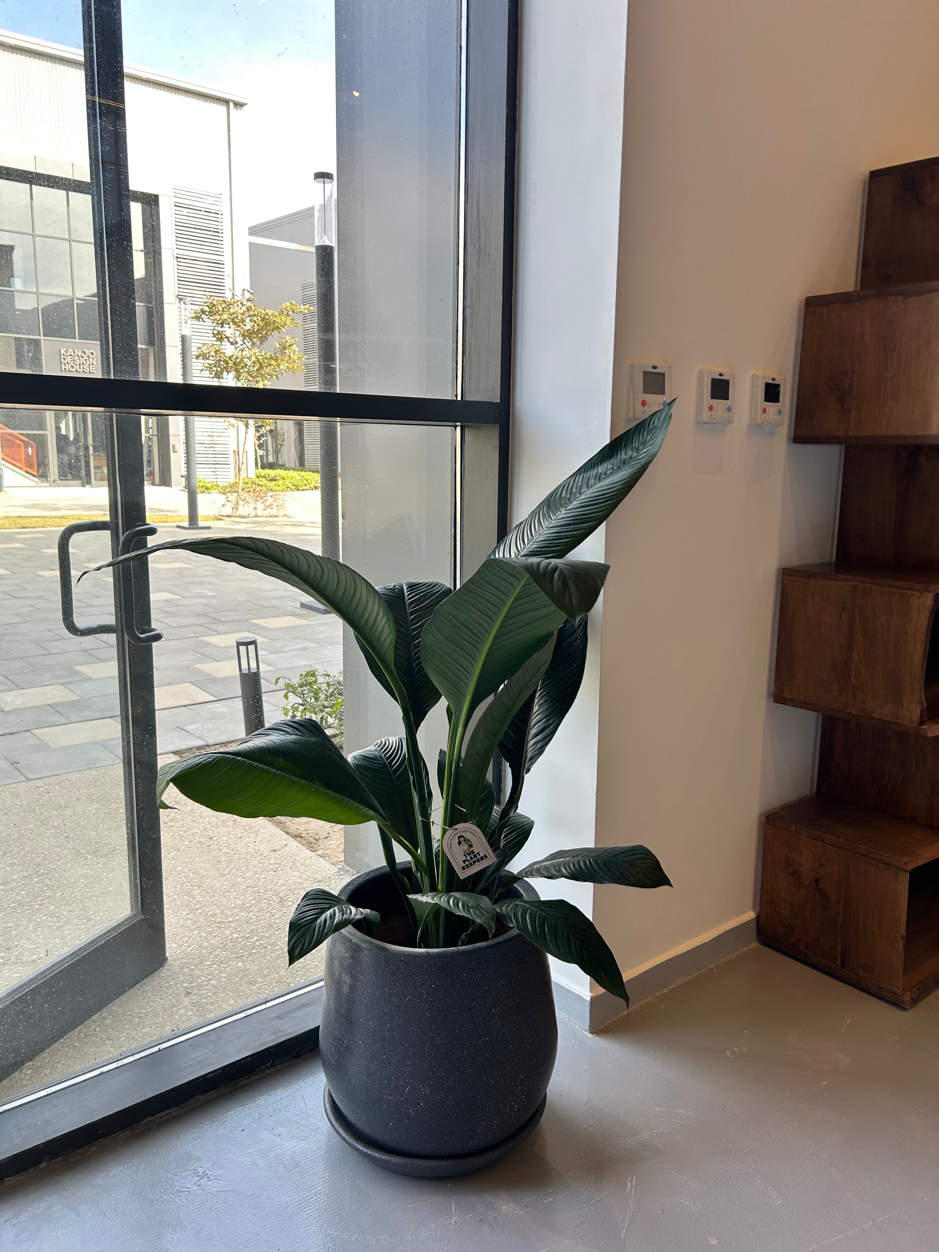 Gift Squad – The Plant Keepers