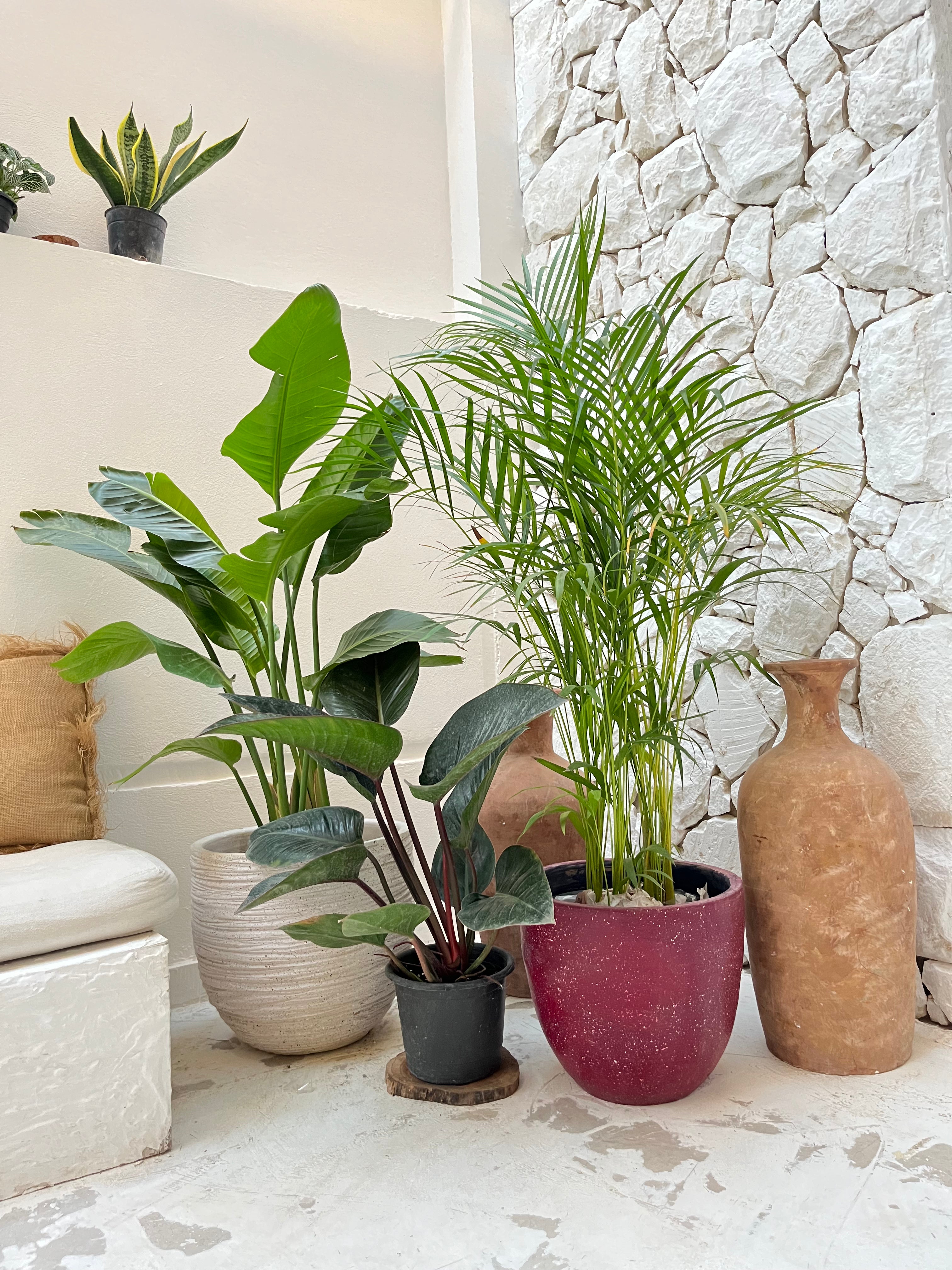 Pots Collection – The Plant Keepers
